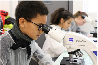 Science Popularization